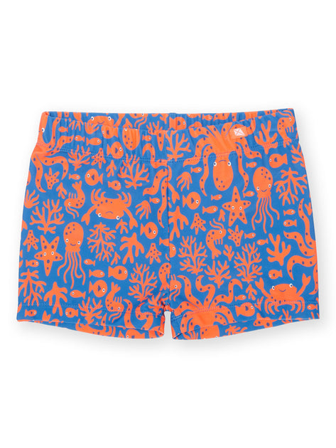Baby Clothing | Kite Clothing